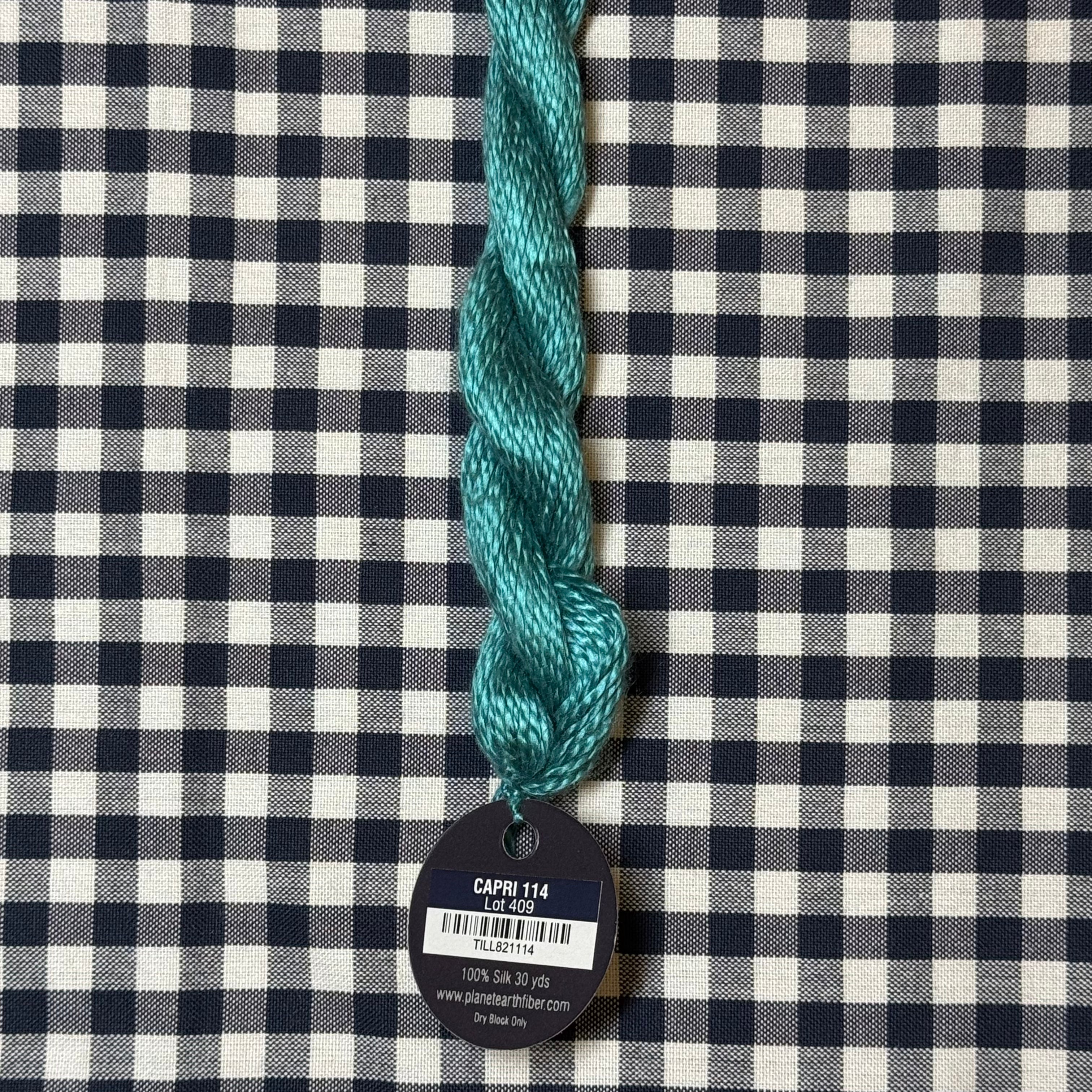 114 Capri | Planet Earth Silk – The Needlepoint Clubhouse