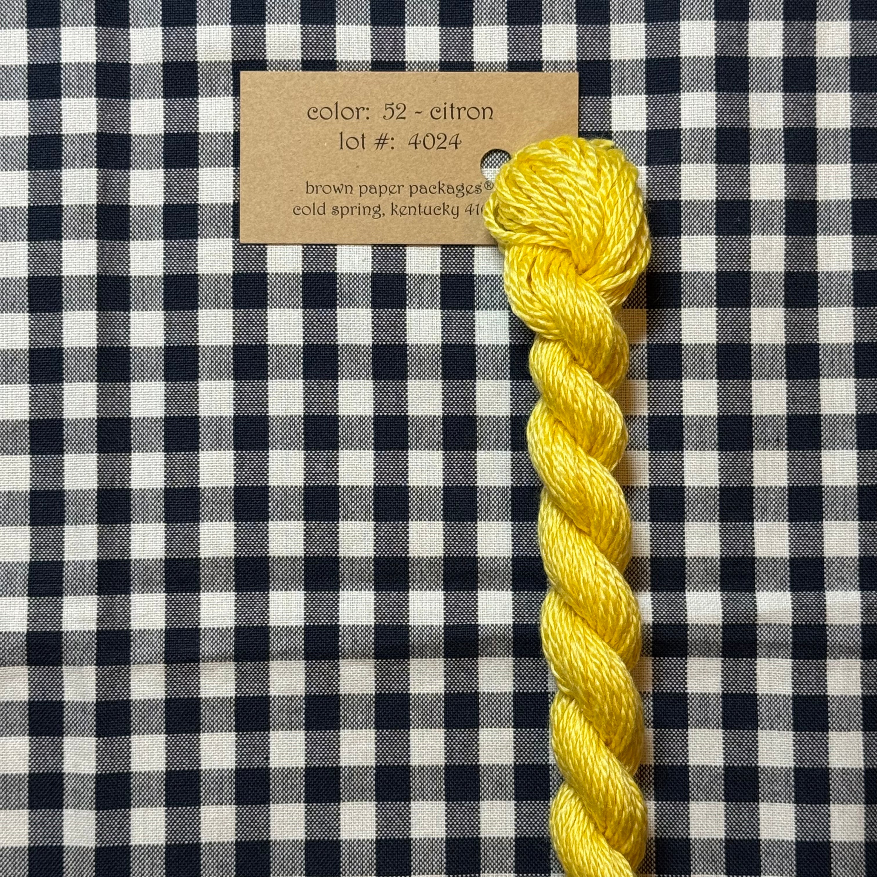 SI-52 Citron | Silk and Ivory – The Needlepoint Clubhouse