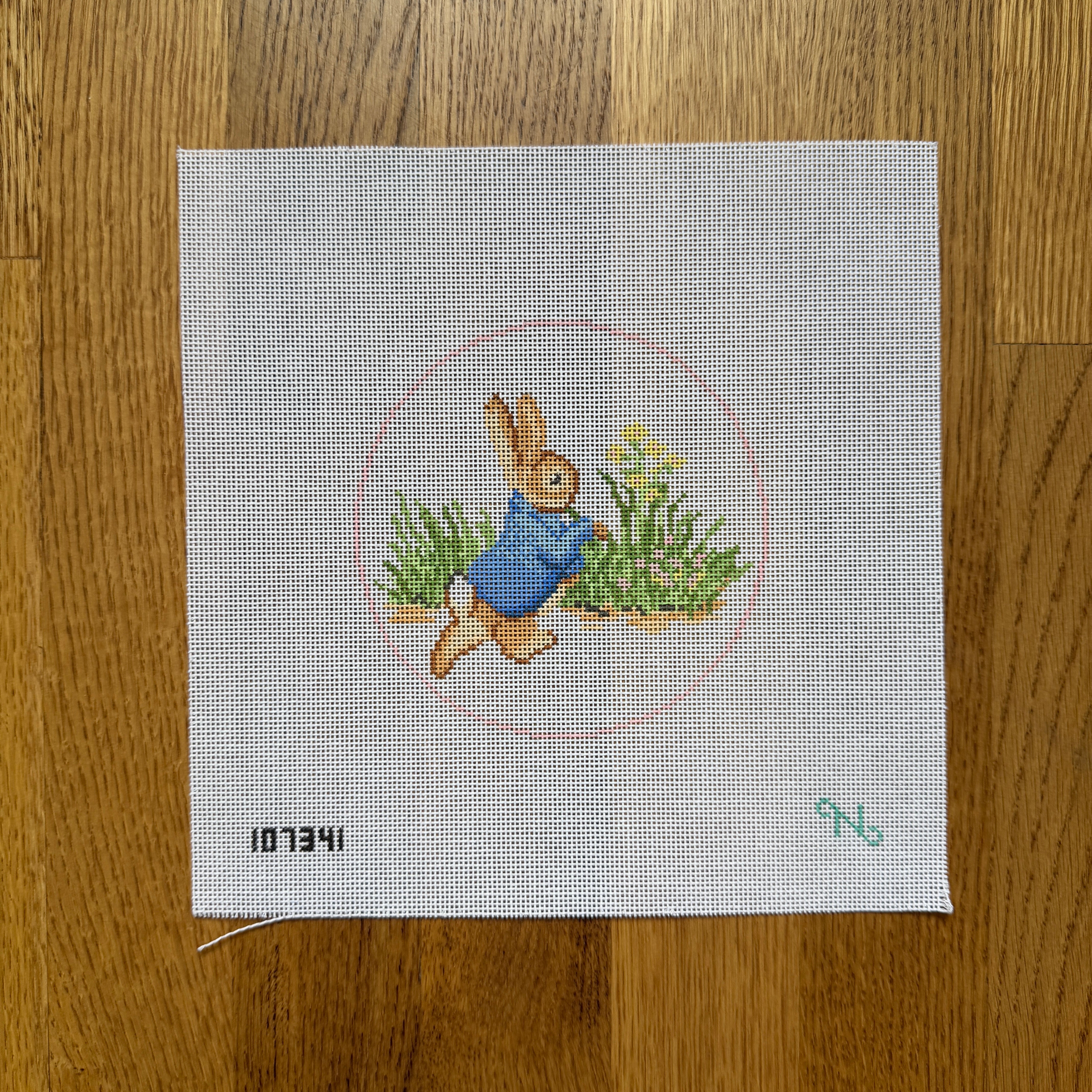 Peter Rabbit Ornament – The Needlepoint Clubhouse