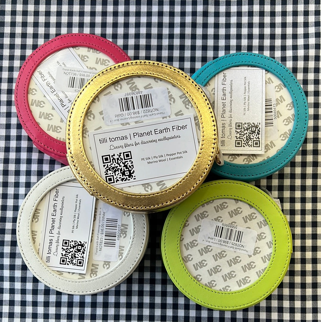 Planet Earth Self-Finishing Leather Box - 4 – The Needlepoint Clubhouse